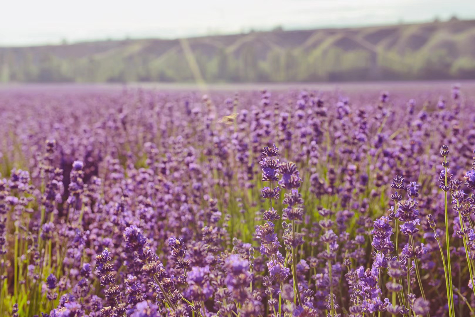 Personal Life - Jiabin Liu